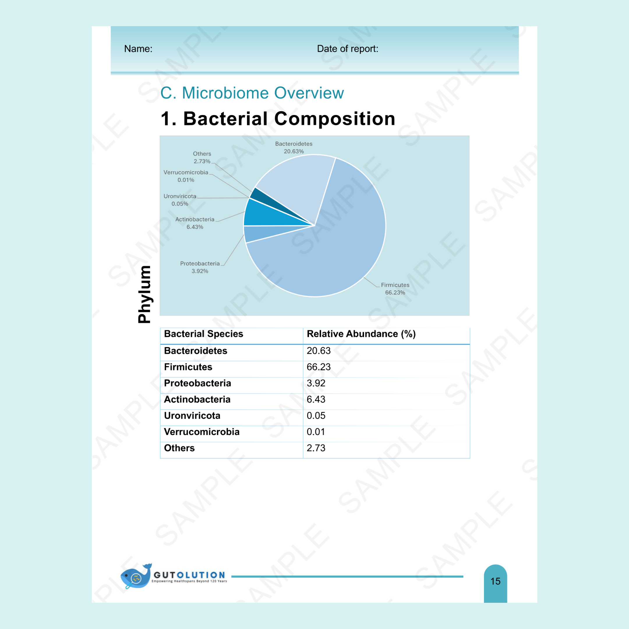 Gut Microbiome Test Pro – GUTolution
