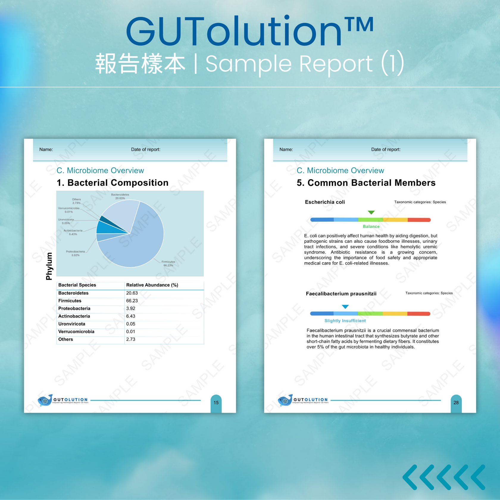 Gut Microbiome Test Pro – GUTolution